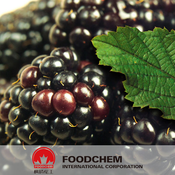 Mulberry Extract Powder, CAS#: 19130-96-2, Mulberry Extract Supplier ...