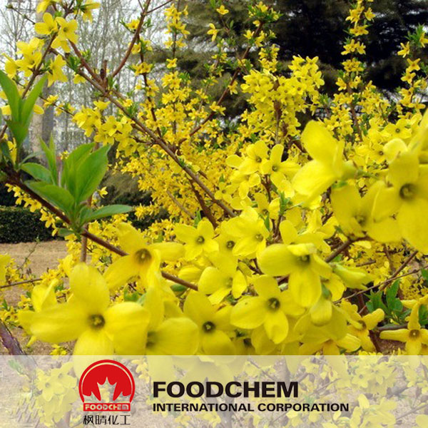 CAS#: 84082-80-4, Hypericum Perforatum Extract Powder Supplier -Foodchem